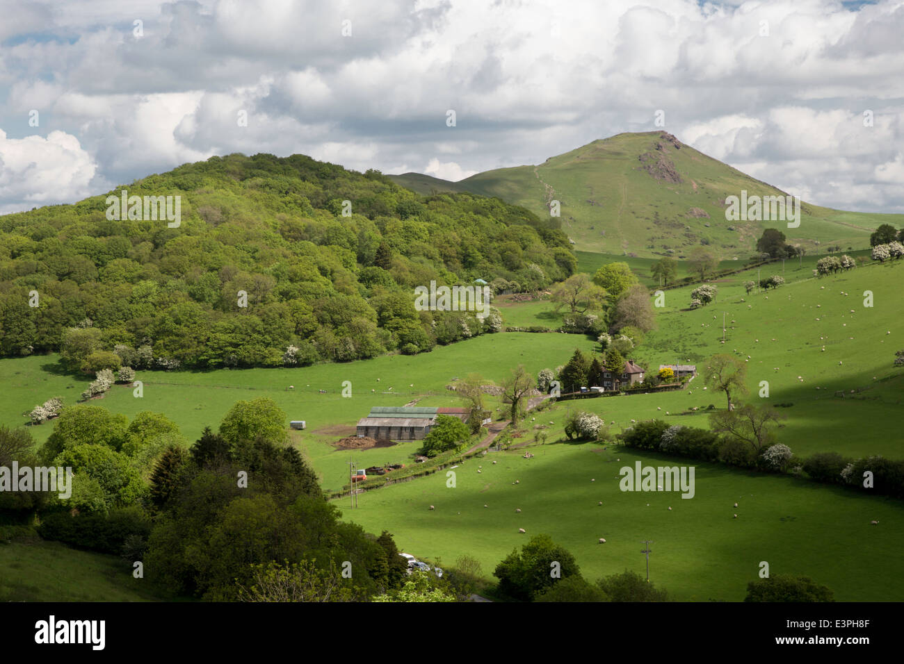 Shropshire Hills near Church Stretton with Caer Caradoc hill in the ...