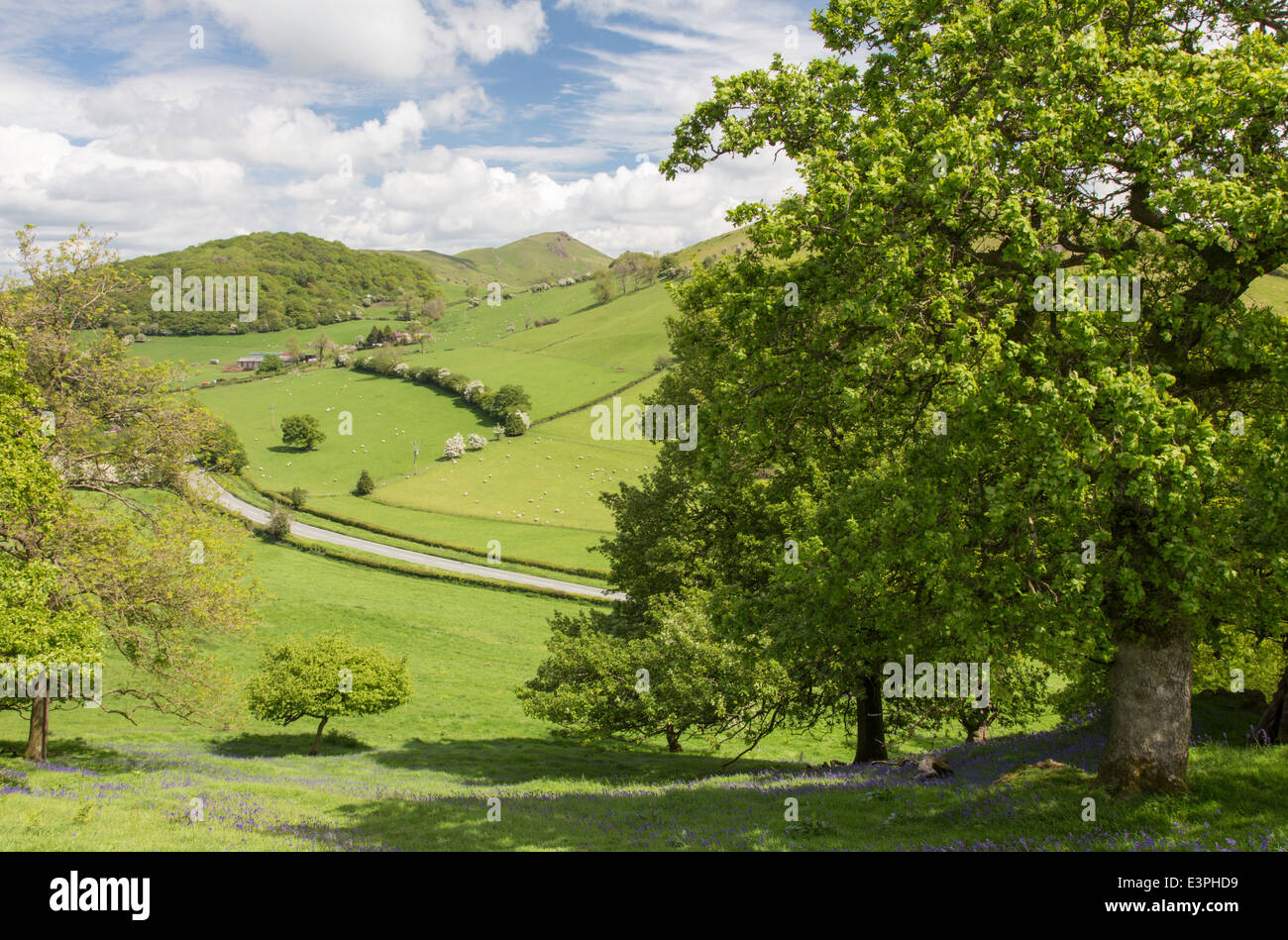 Shropshire Hills near Church Stretton with Caer Caradoc hill in the ...