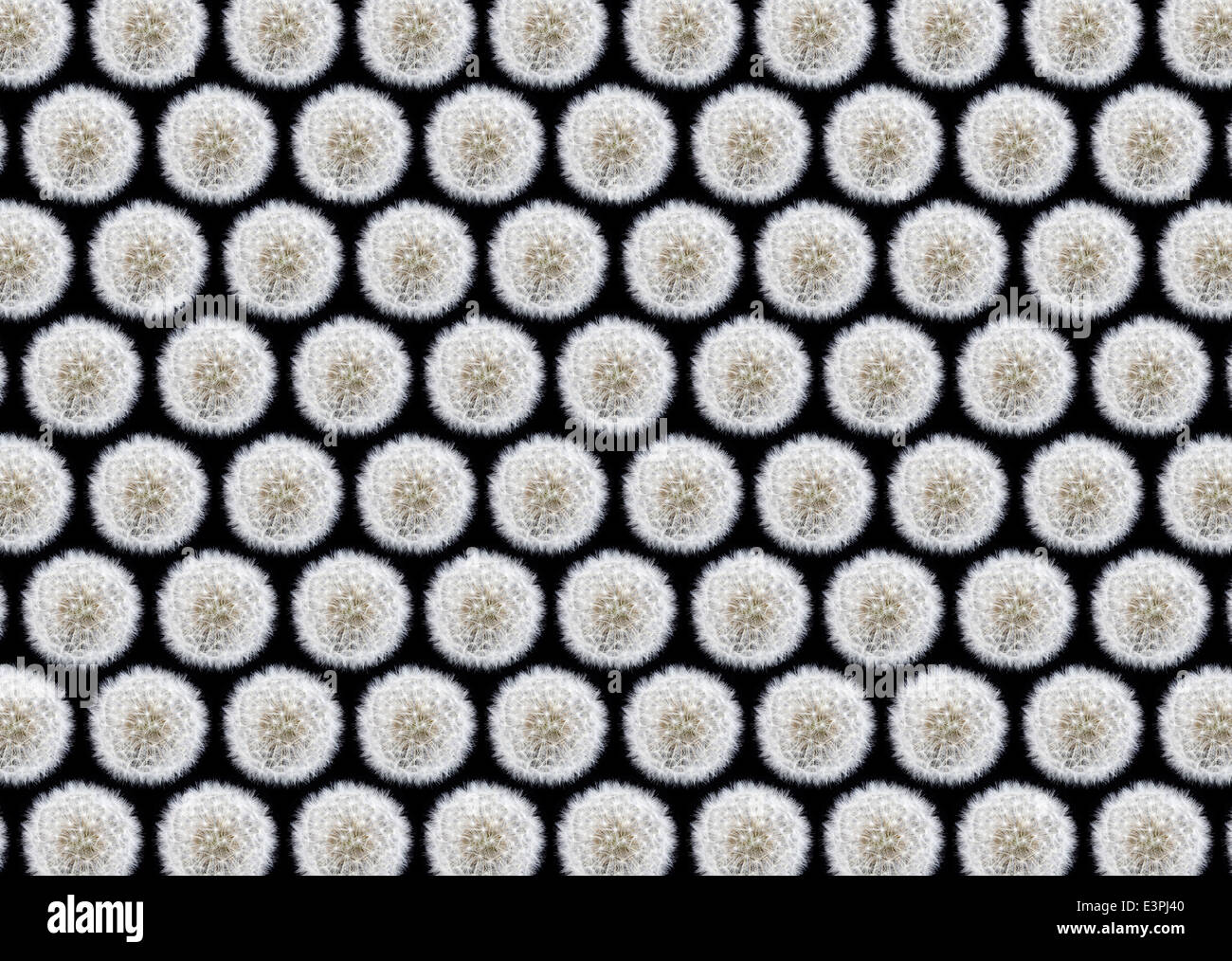 Repeating design pattern based on the seed head of a dandelion flower ...