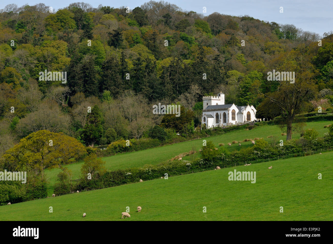Selworthy woods hi-res stock photography and images - Alamy