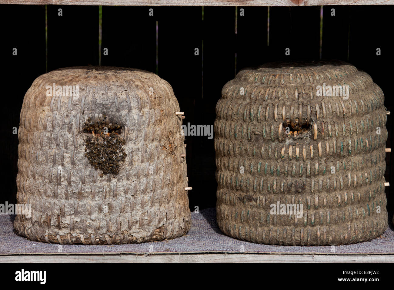 Tradional bee hives (skeps) made from straw. Lueneburg Heath, Lower ...