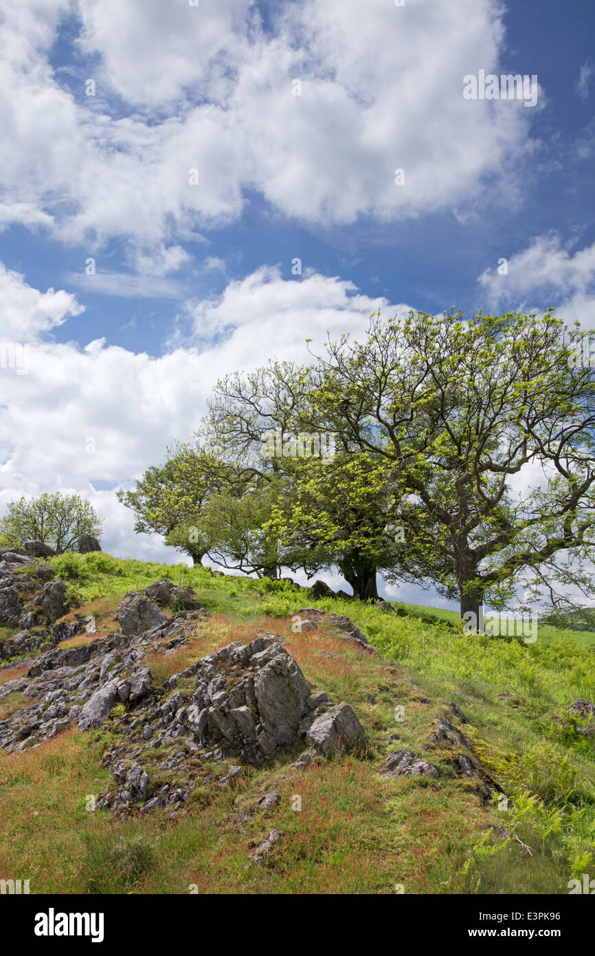 The Shropshire Hills AONB (Area of Outstanding Natural Beauty ...