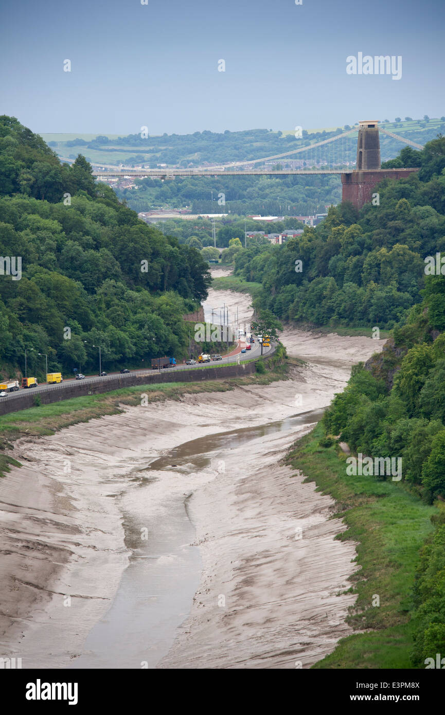 Bristol crocodile hunt, after a possible sighting in the Avon Gorge ...