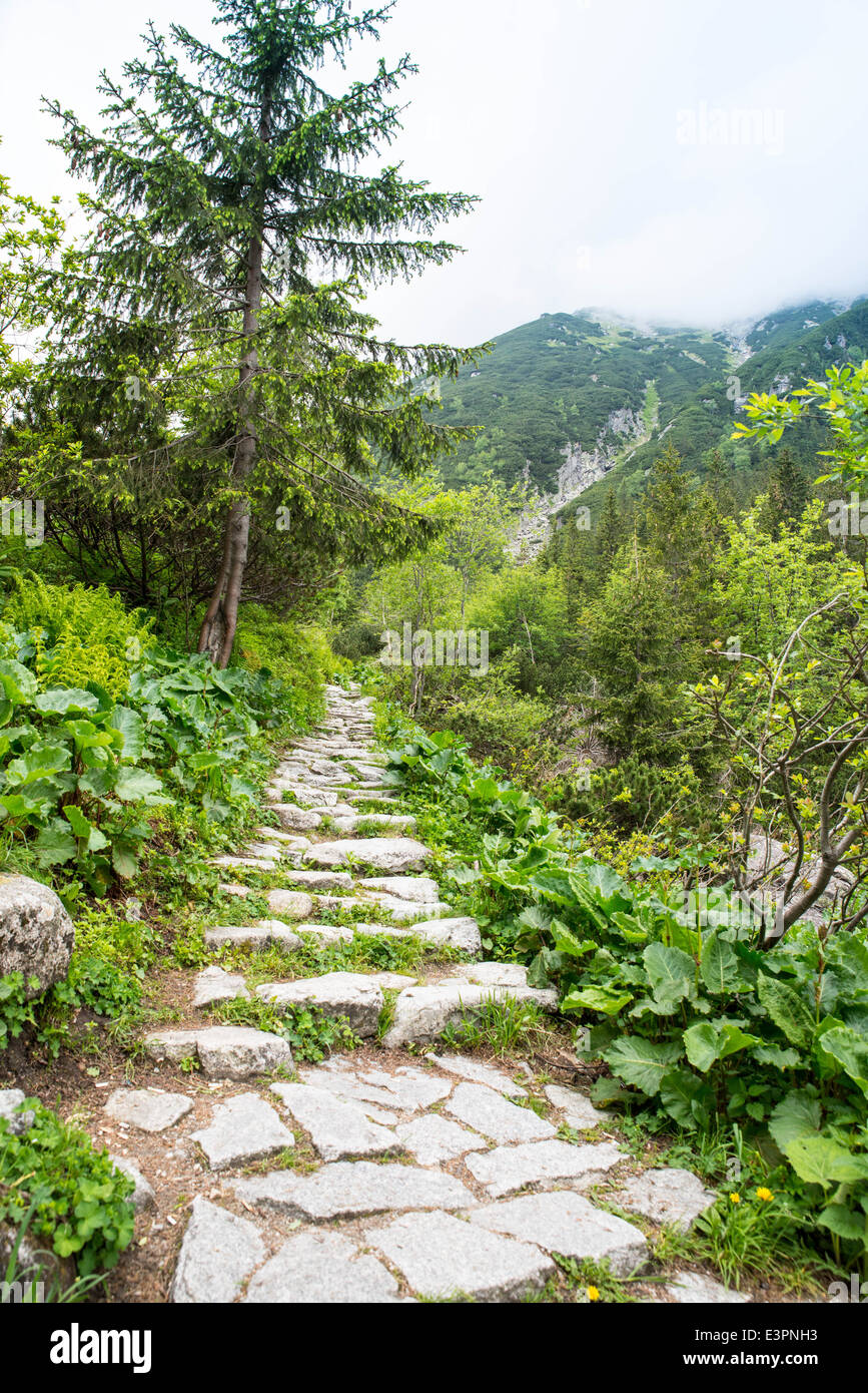 Path in mountains Stock Photo - Alamy