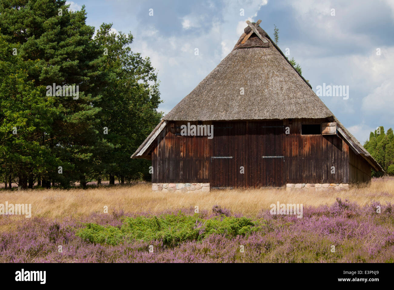 Sheep cote hi-res stock photography and images - Alamy