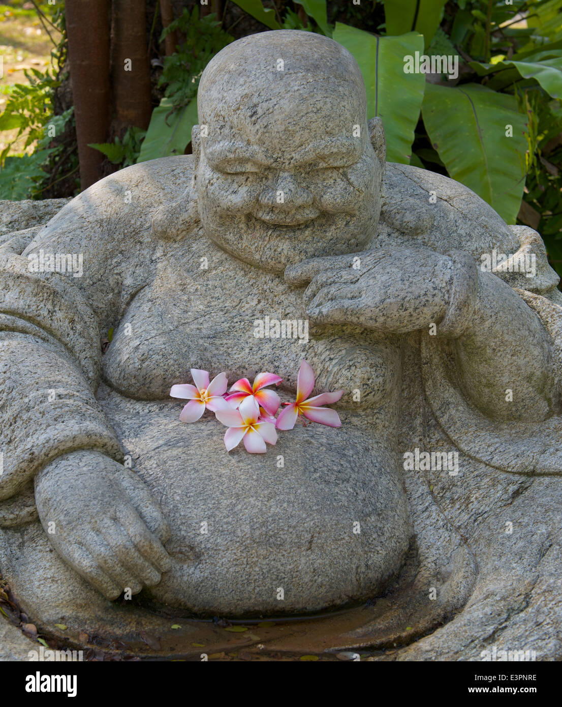 Smiling Buddha with Frangipani flowers in the Chinese garden, Gardens ...