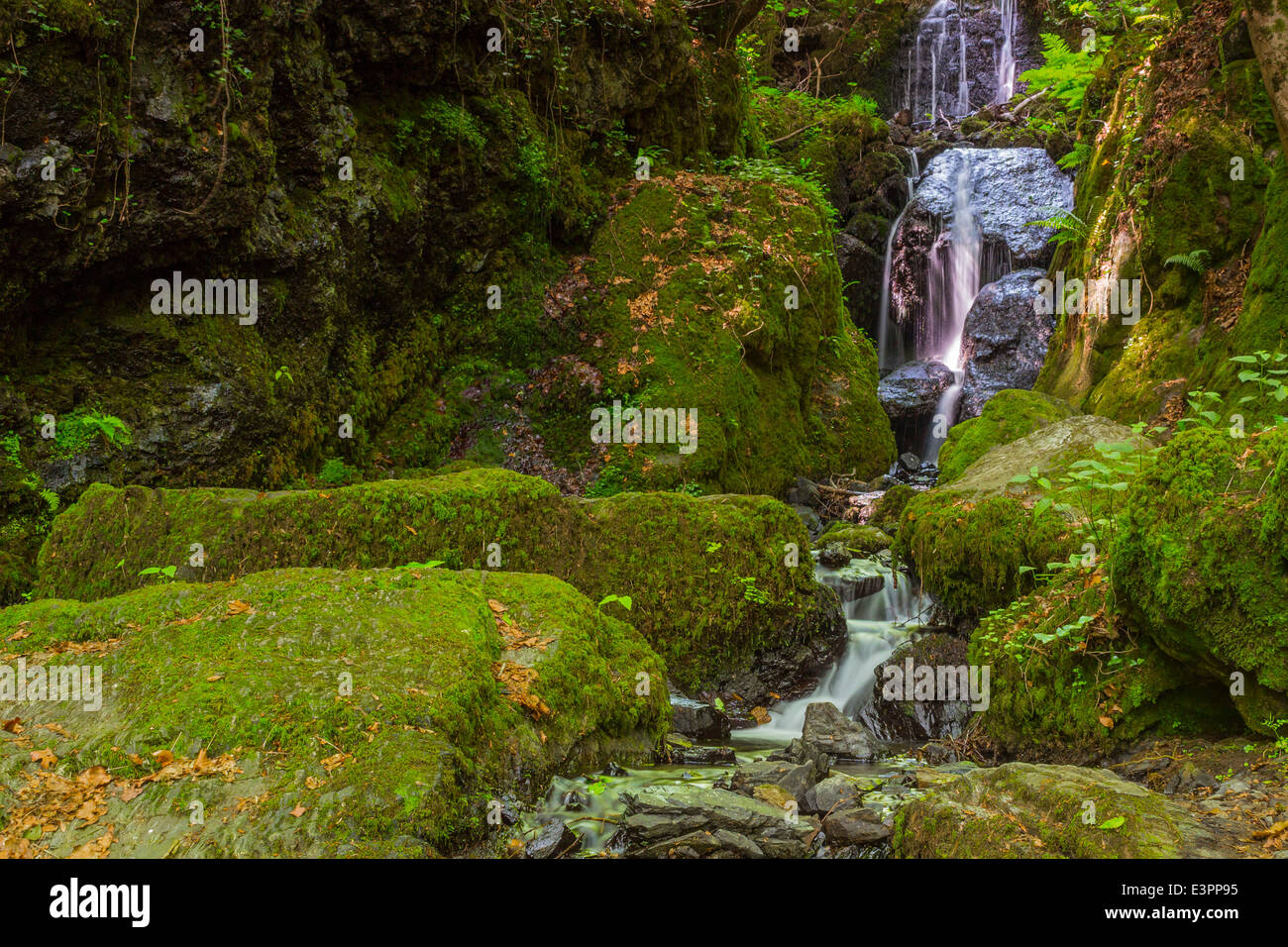 Waterfall at Canonteign Falls, Devon Stock Photo - Alamy