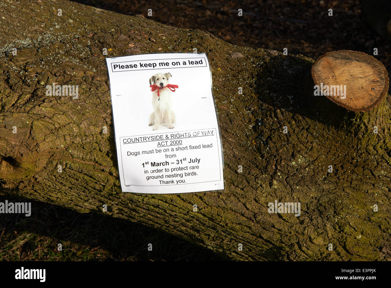 Wildlife and countryside act hi-res stock photography and images - Alamy