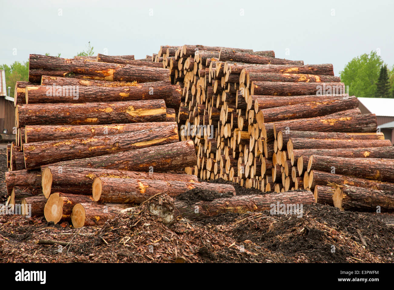 Wisconsin logging hi-res stock photography and images - Alamy