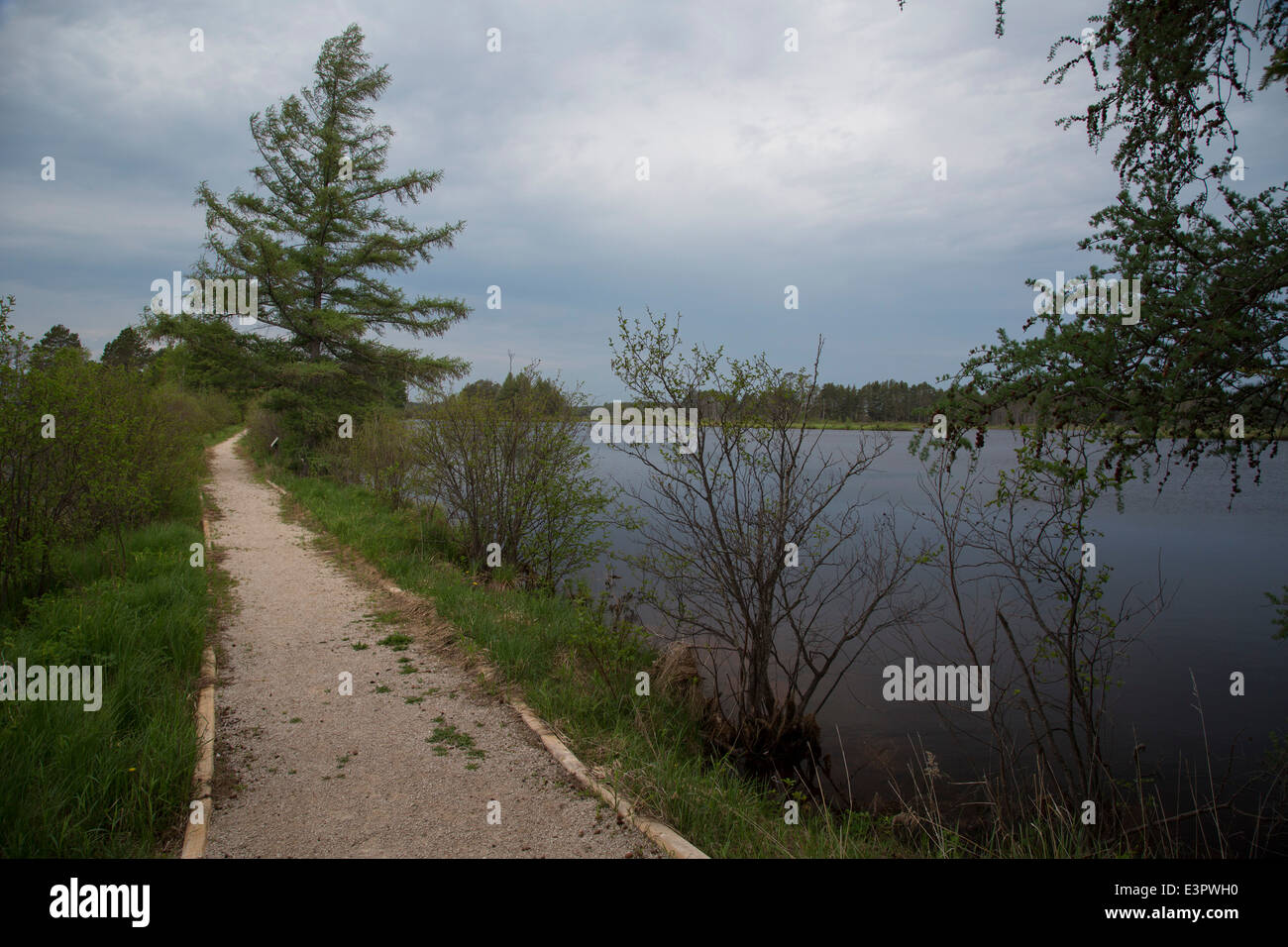 Seney, Michigan - A hiking trail in Seney National Wildlife Refuge ...