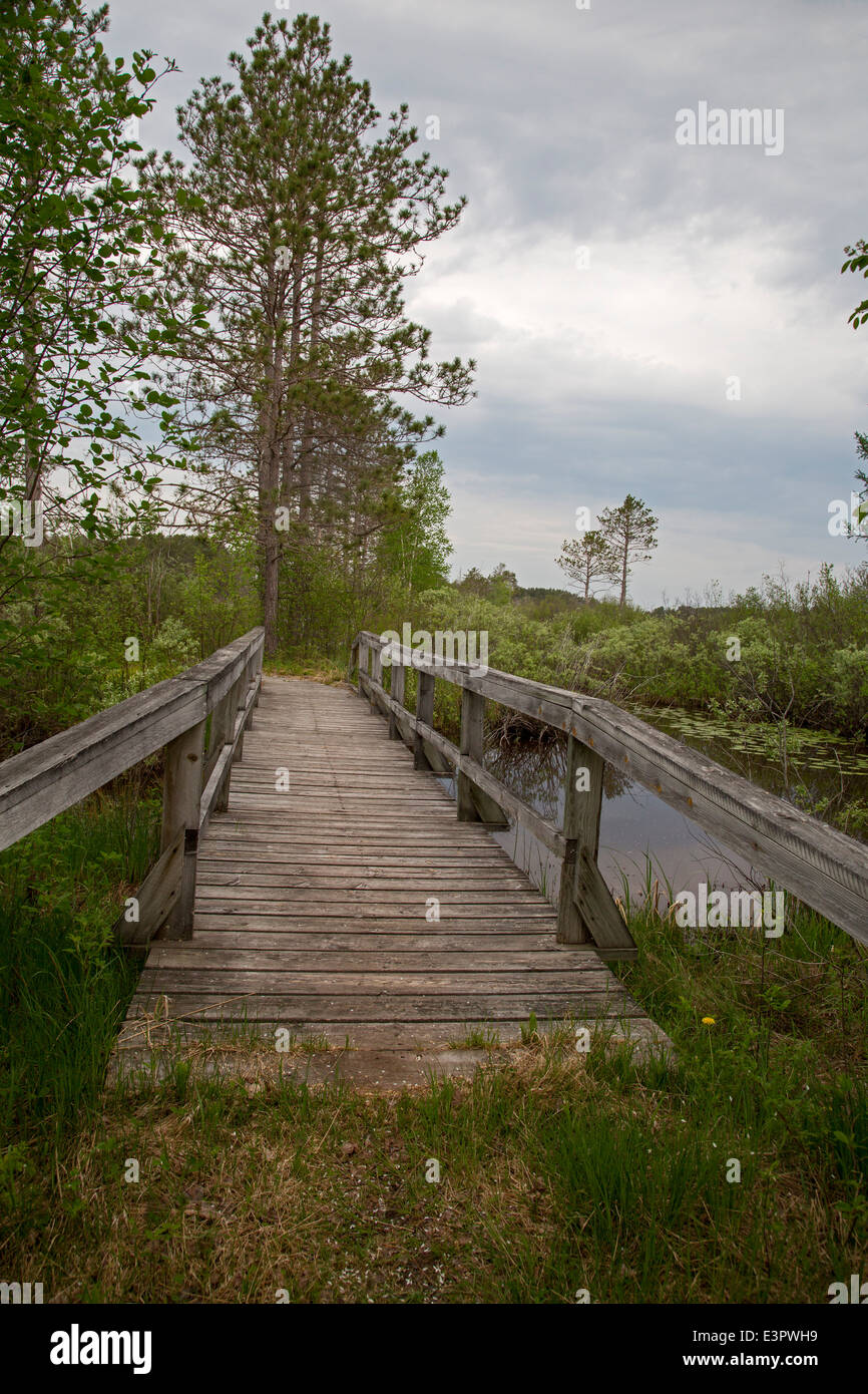 Seney, Michigan - A hiking trail in Seney National Wildlife Refuge ...