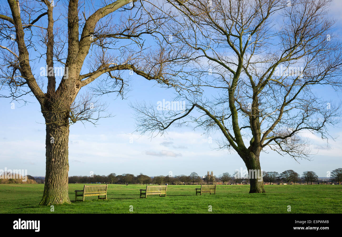 Beverley Westwood on a fine winter morning with the minster just ...
