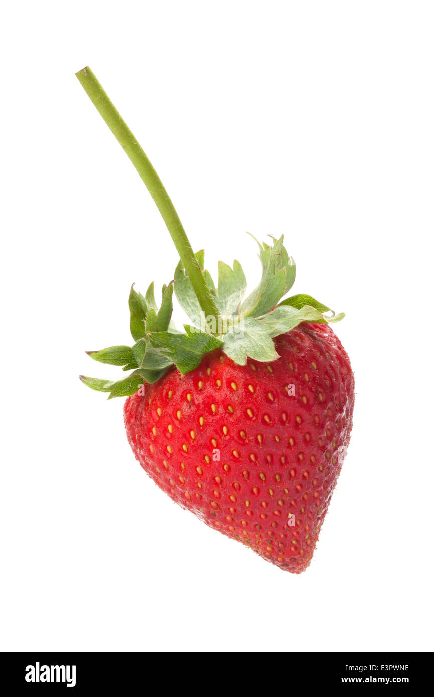 strawberry isolated on white background Stock Photo - Alamy