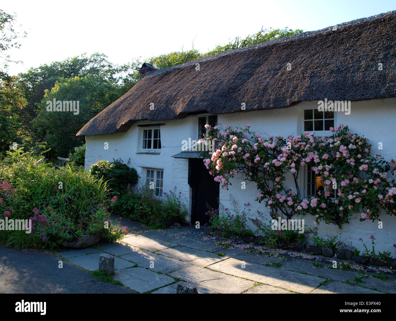 Cornish thatched cottage roof hi-res stock photography and images - Alamy