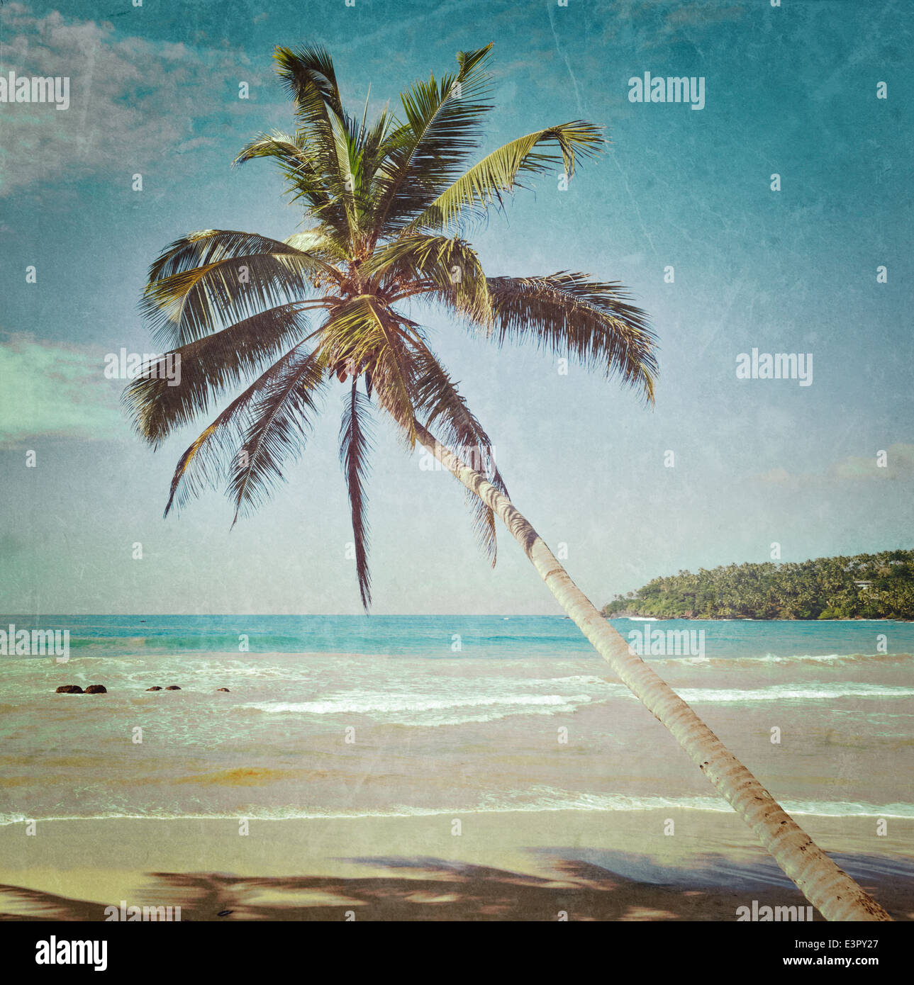 Idyllic beach with palm. Sri Lanka Stock Photo - Alamy