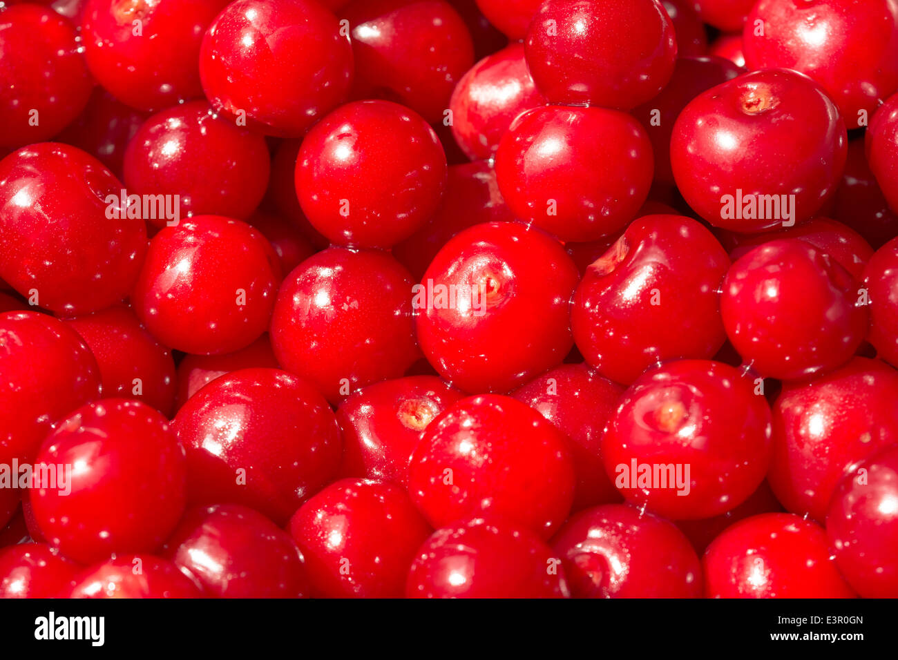 Red berry display hi-res stock photography and images - Alamy