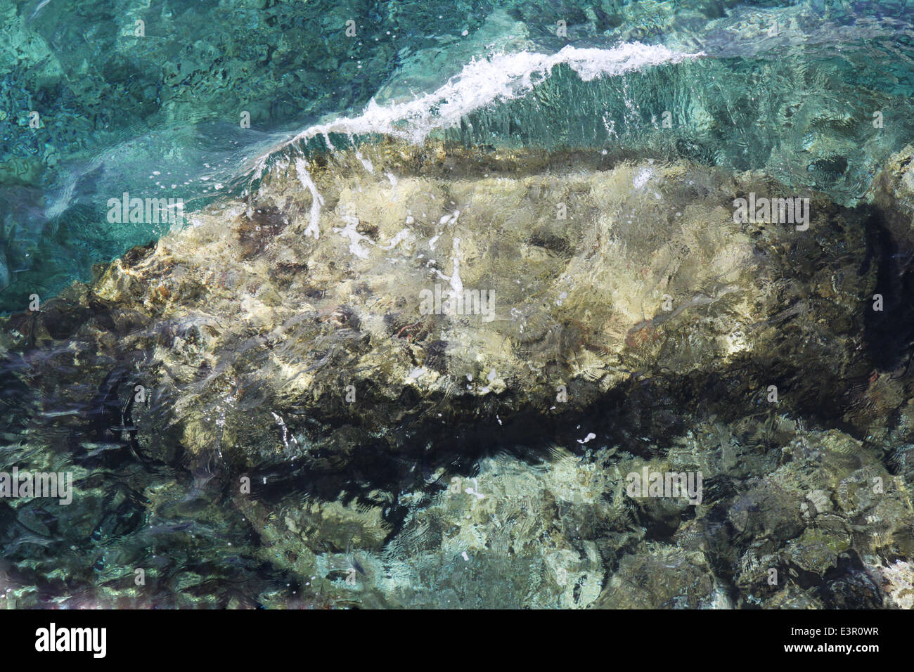 a macro of a rock underneath a clear blue sea Stock Photo - Alamy