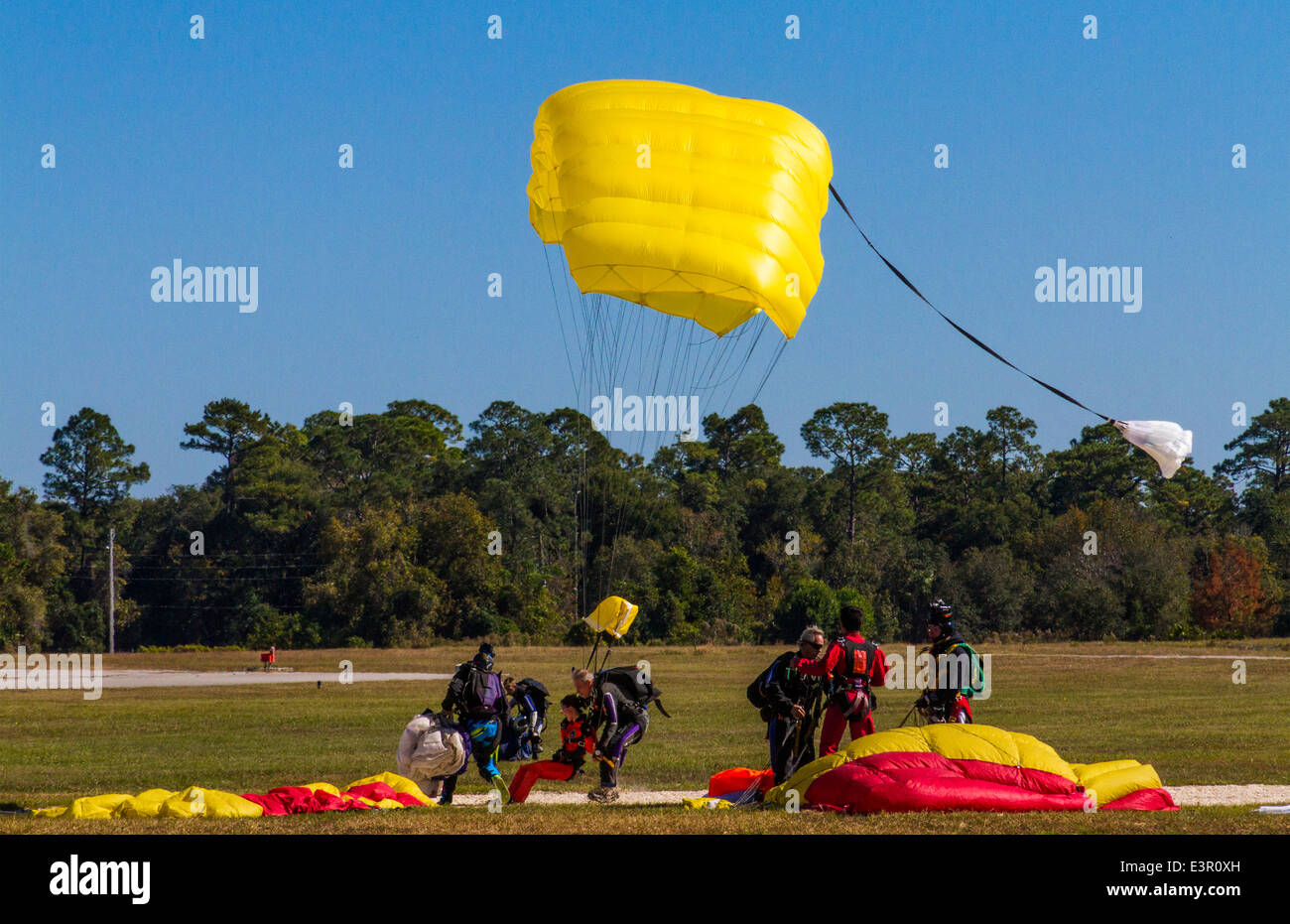 Skydive Deland skydivers with parachutes open landing in Deland Florida ...