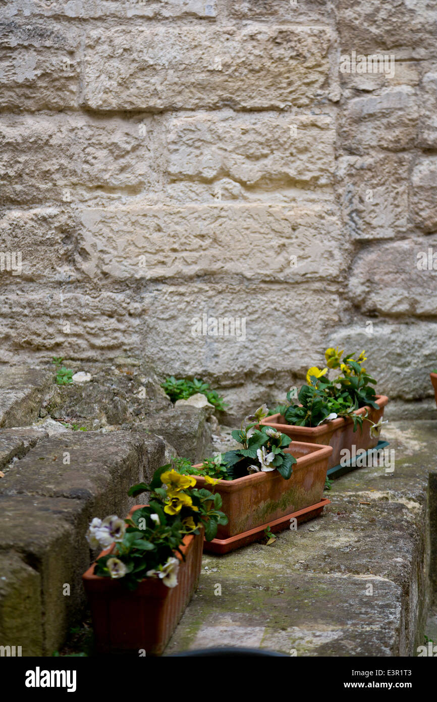 Flower Pots in Avignon, Provence, France Stock Photo - Alamy