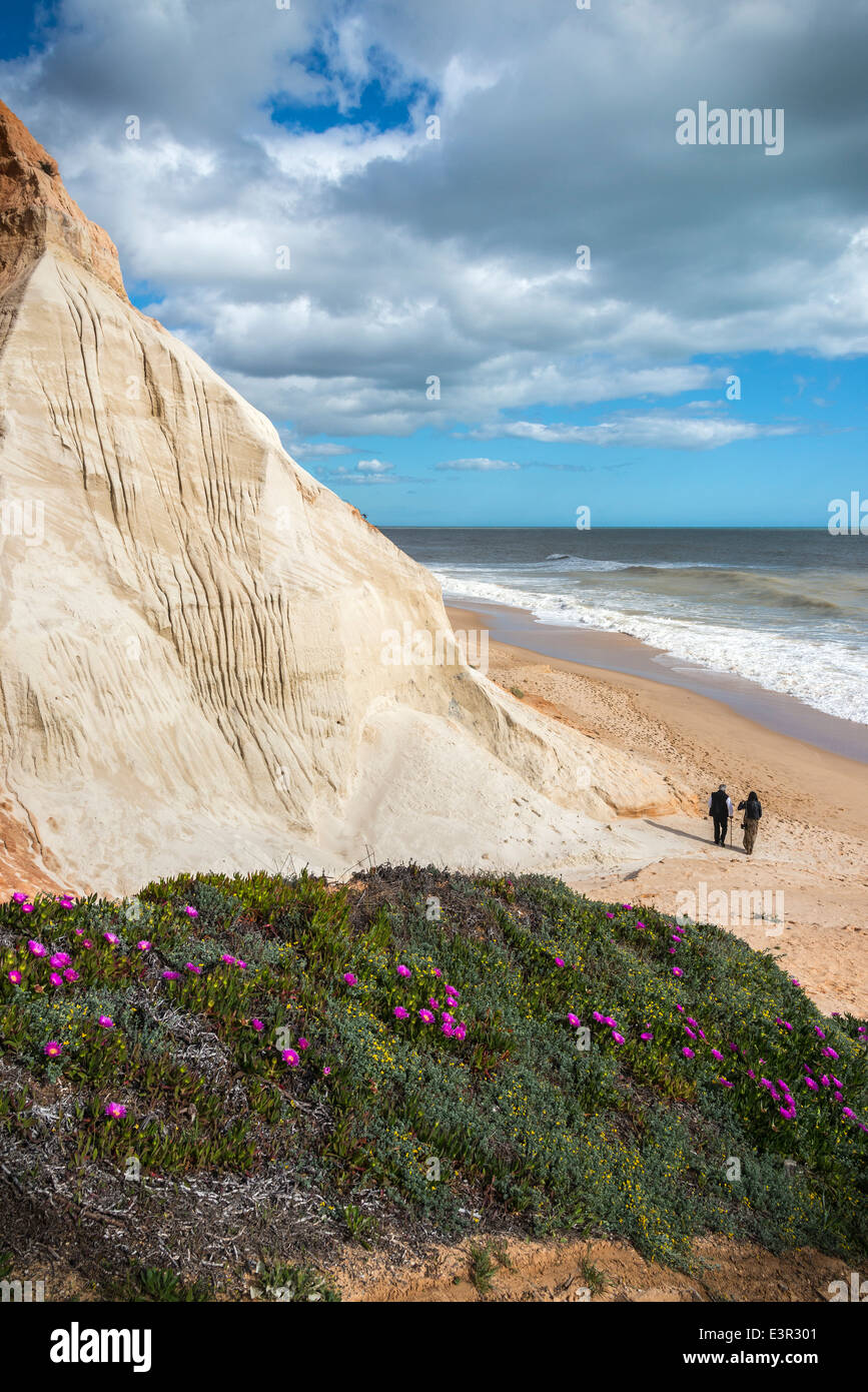 Falésia beach albufeira hi-res stock photography and images - Alamy