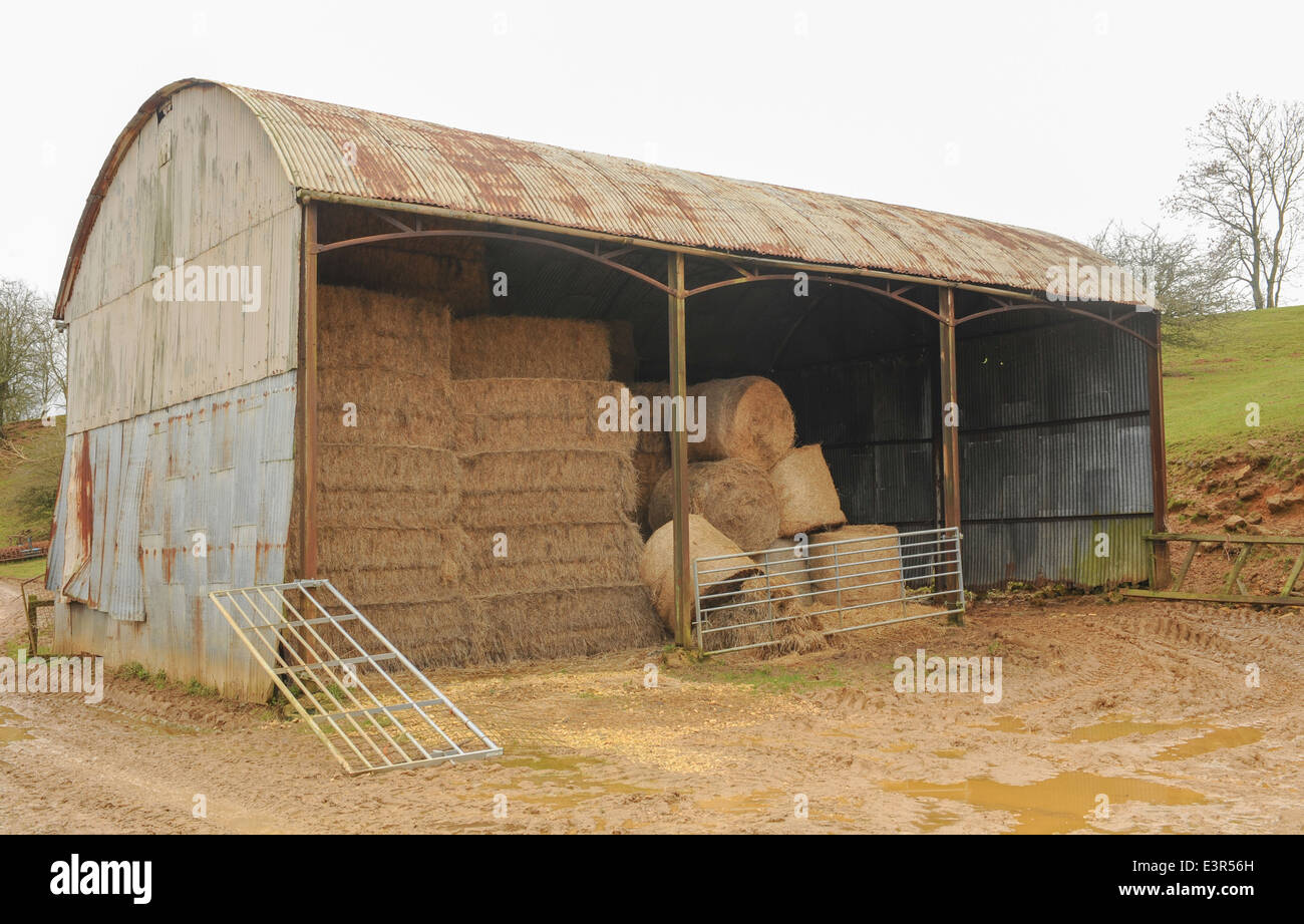 Hay Bales in a Corrugated Barn in a field on a Farm close to Winchcombe ...