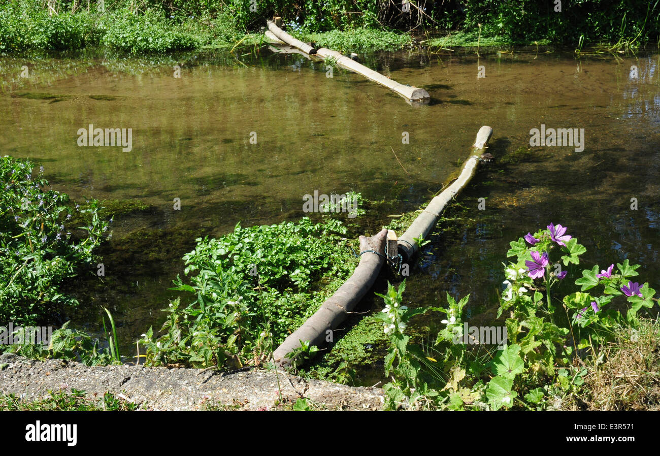River Purwell, a chalk stream in Hitchin, Hertfordshire with water flow ...