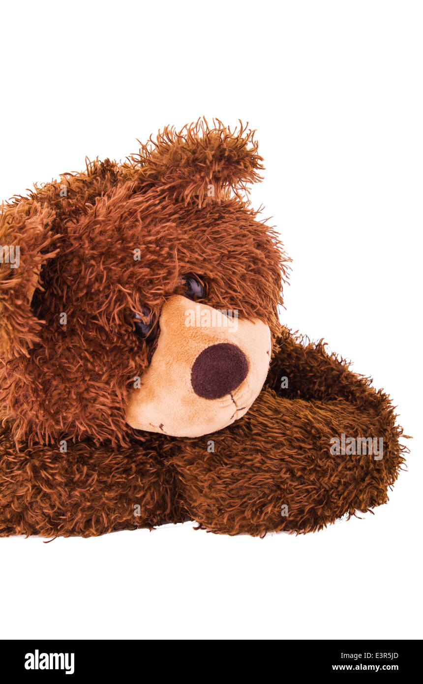 Closeup shot cute teddy hi-res stock photography and images - Alamy