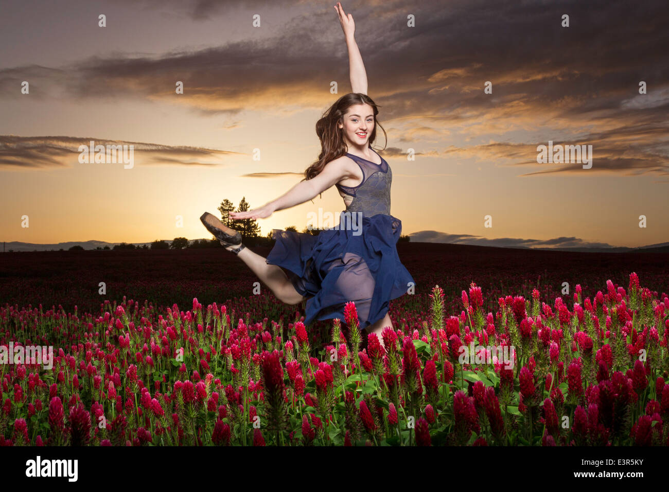 Ballerina dancing in a clover field at sunset Stock Photo - Alamy