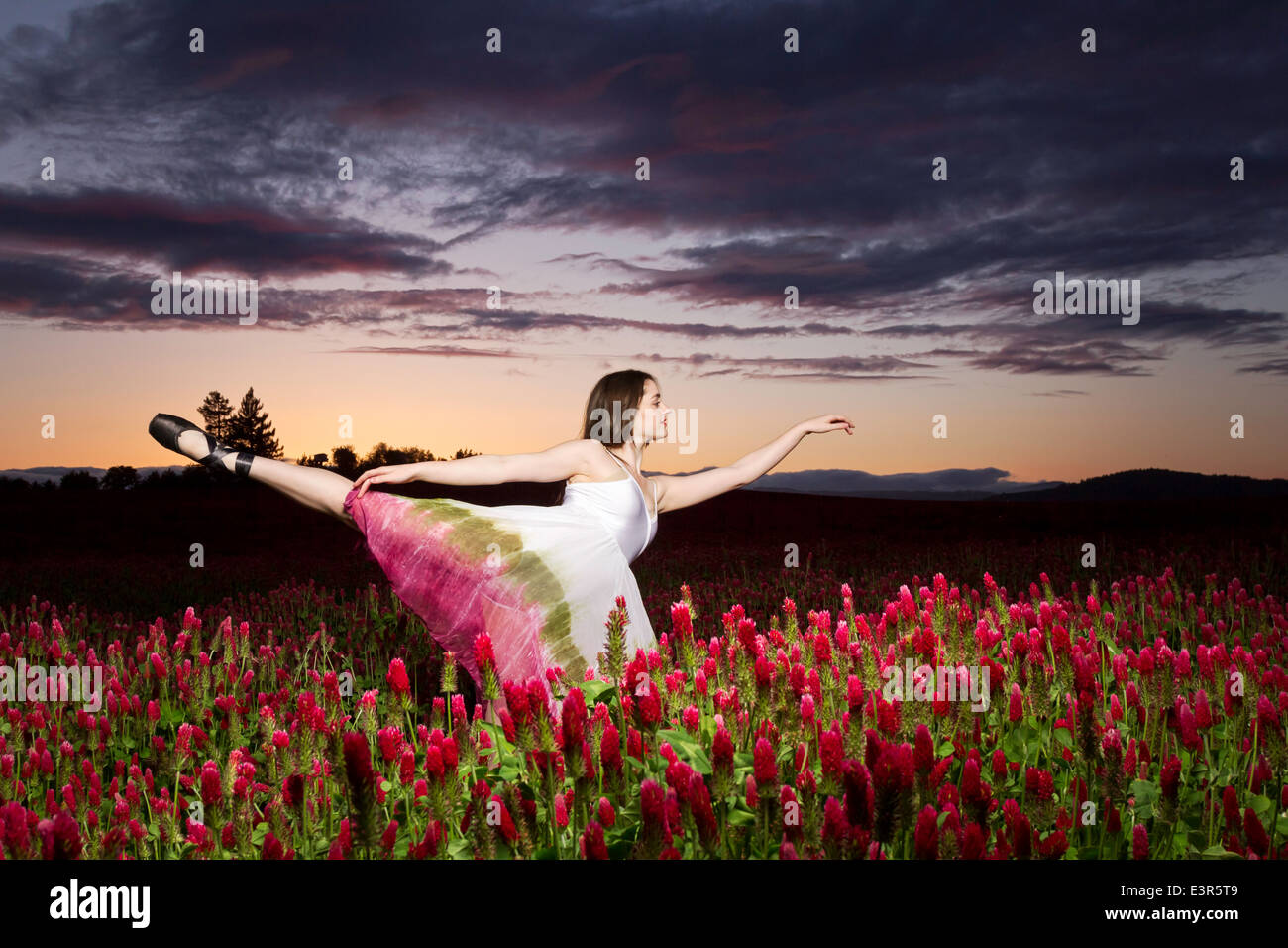 Ballerina dancing in a clover field at sunset Stock Photo - Alamy