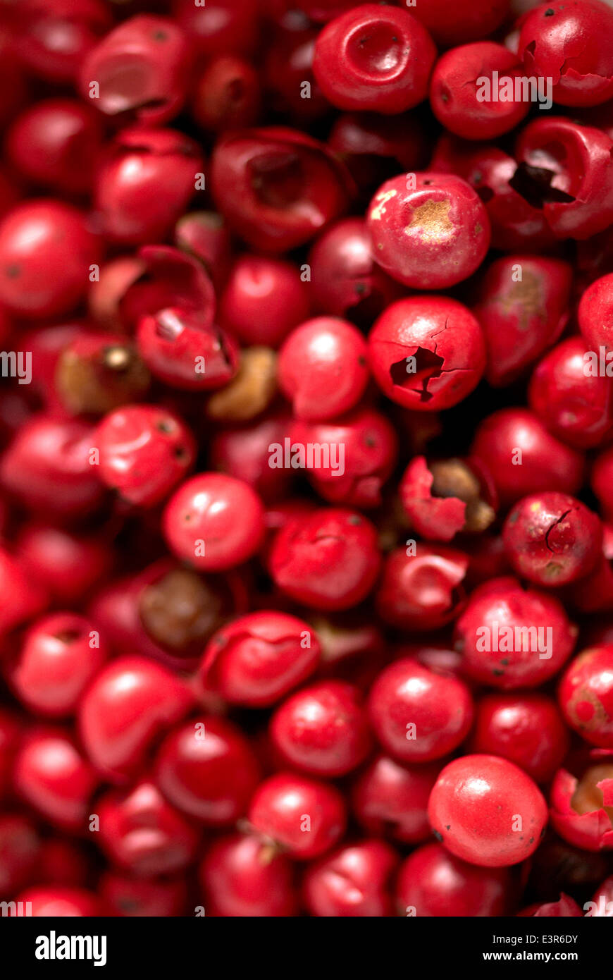 Red Peppercorns / Spice Stock Photo - Alamy