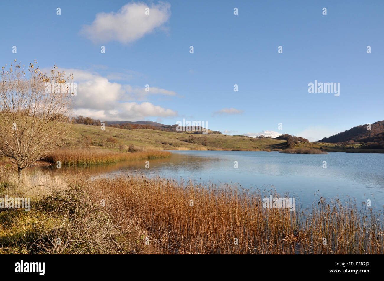Biviere lake, Cesarò, Messina, Volcano Etna, UNESCO, Sicily, Italy ...