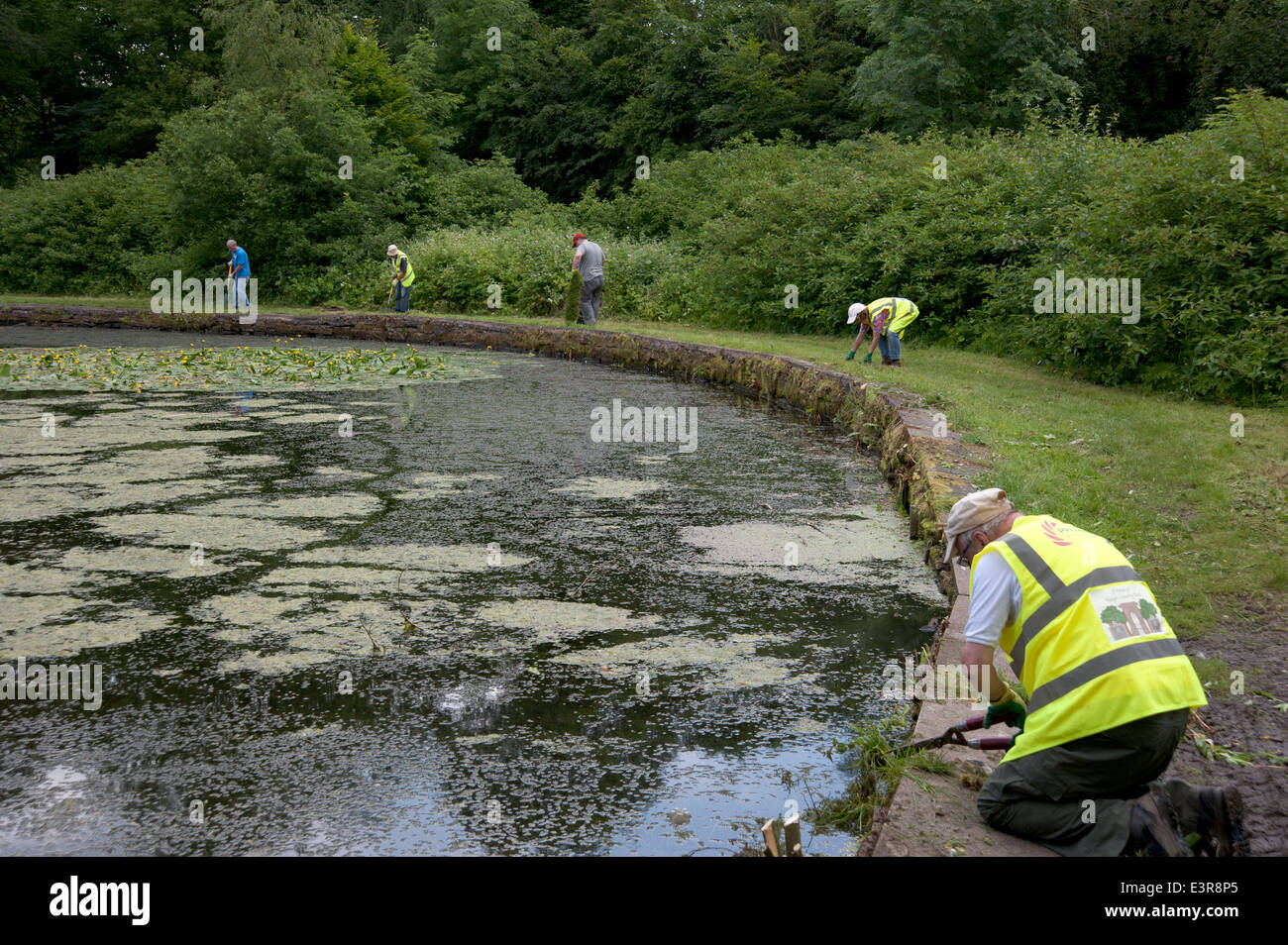 Restoring the "Swan Pond" in Haigh Country Park, Wigan Stock Photo - Alamy
