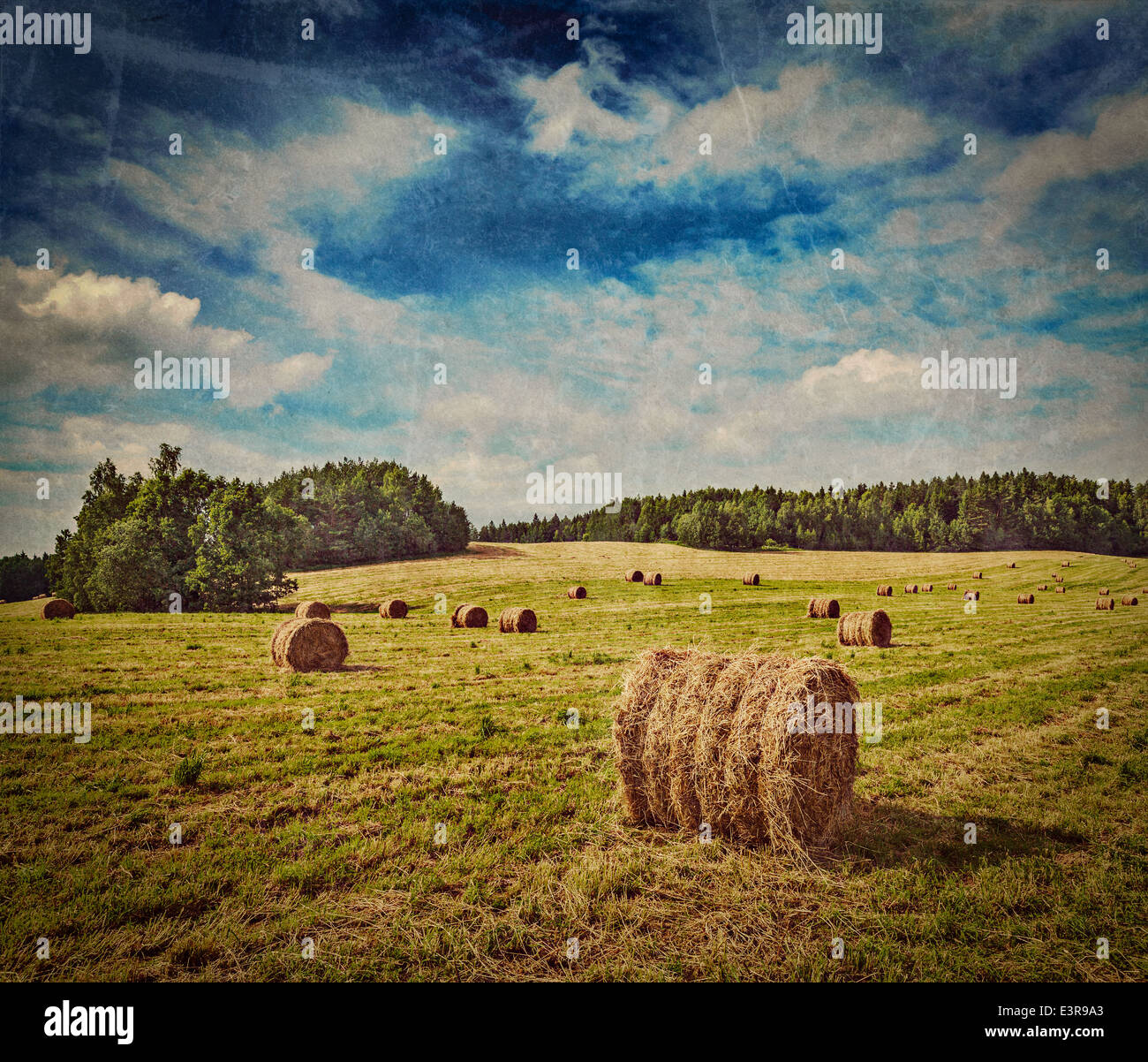 Vintage retro effect filtered hipster style image of hay bales on field ...