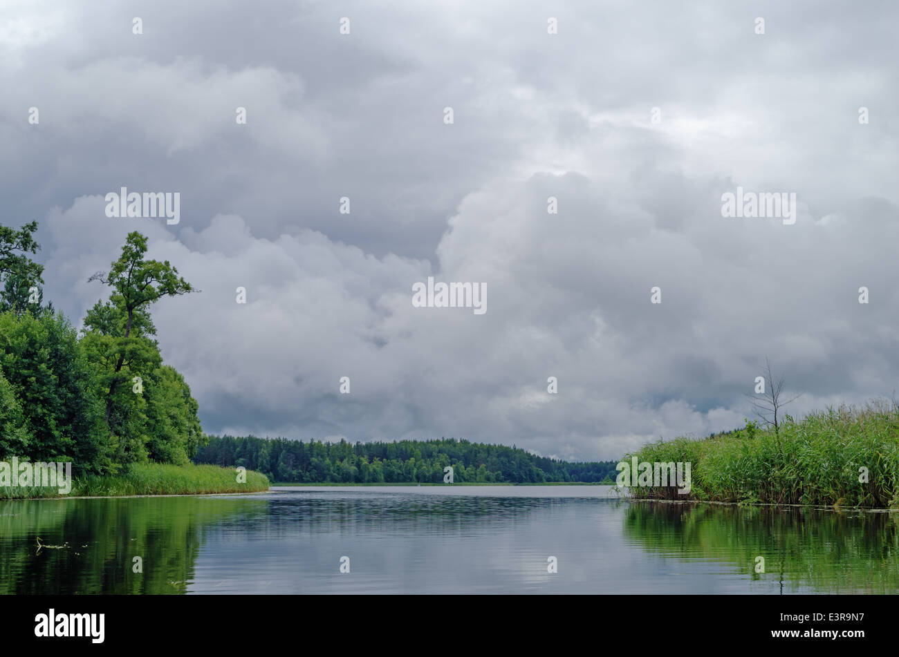 Forest cloudy river Stock Photo - Alamy