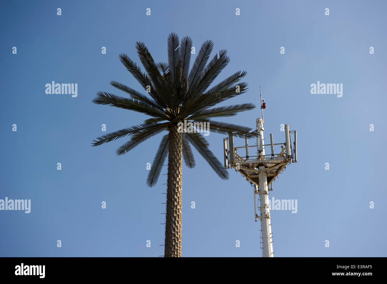A cell phone tower camouflaged to look like a palm tree along side a ...