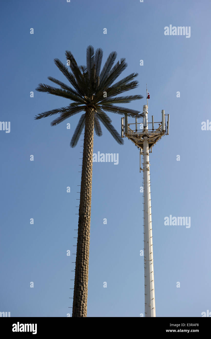 A cell phone tower camouflaged to look like a palm tree along side a ...