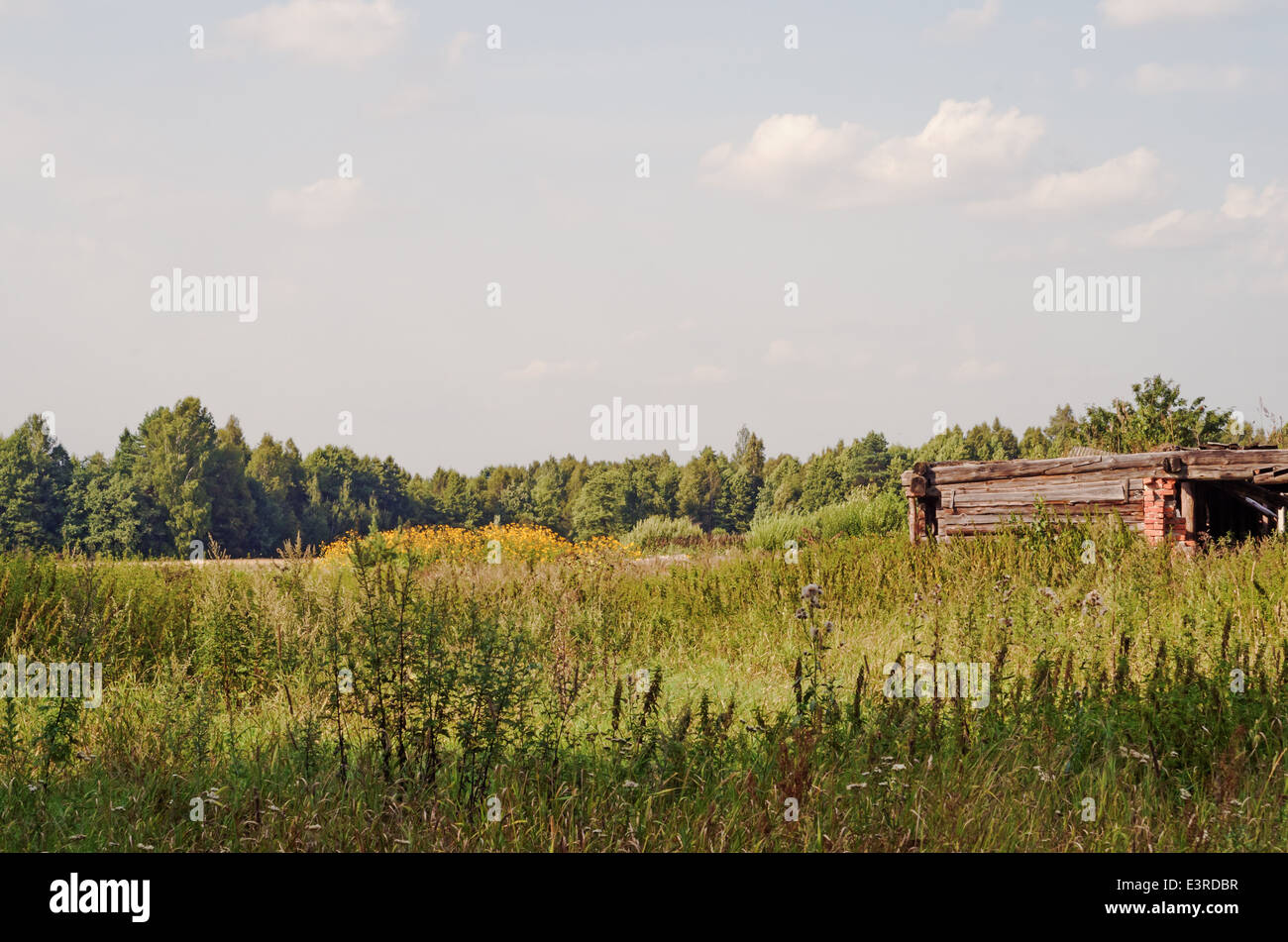 landscape with the old destroyed farm Stock Photo - Alamy