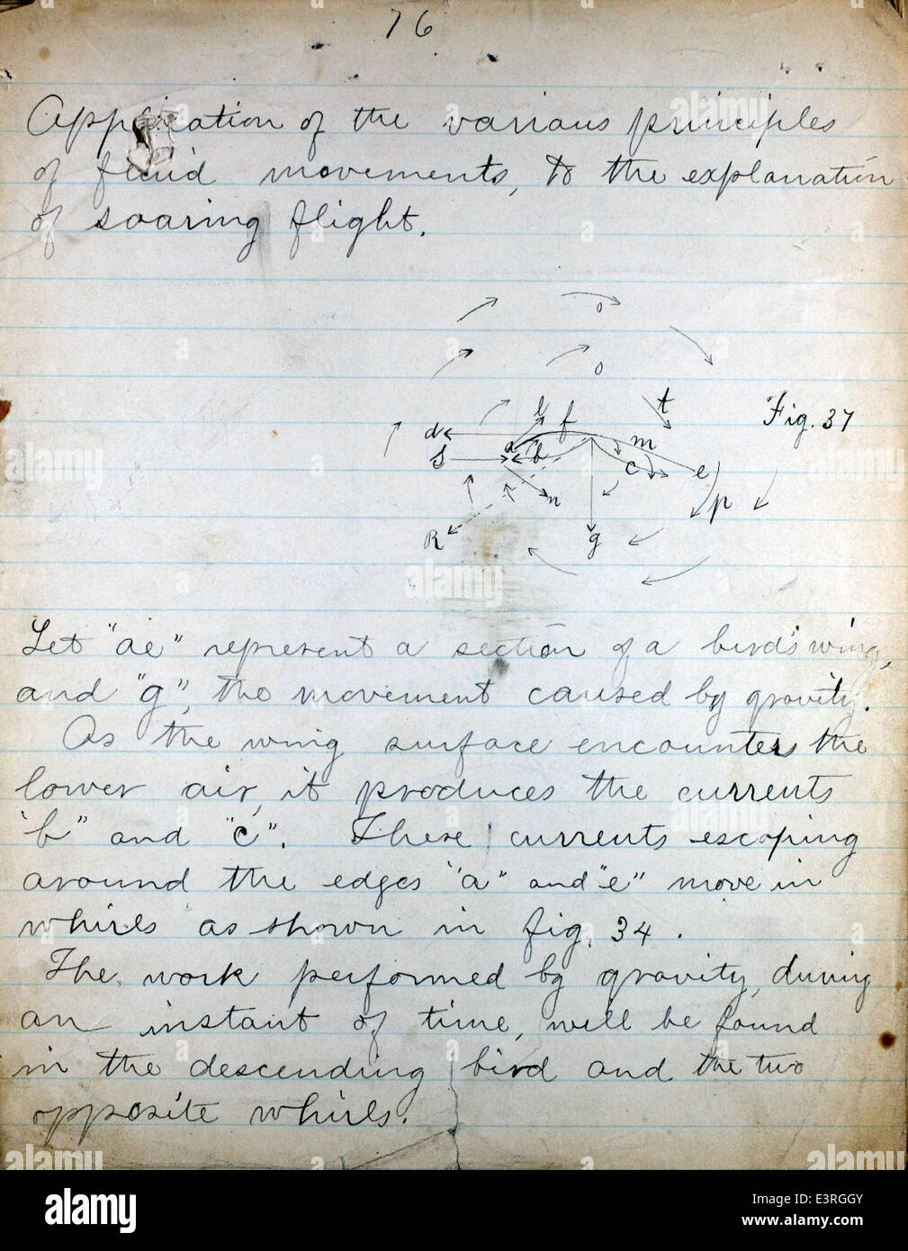 The Montgomery Manuscript is a historical document containing insights ...