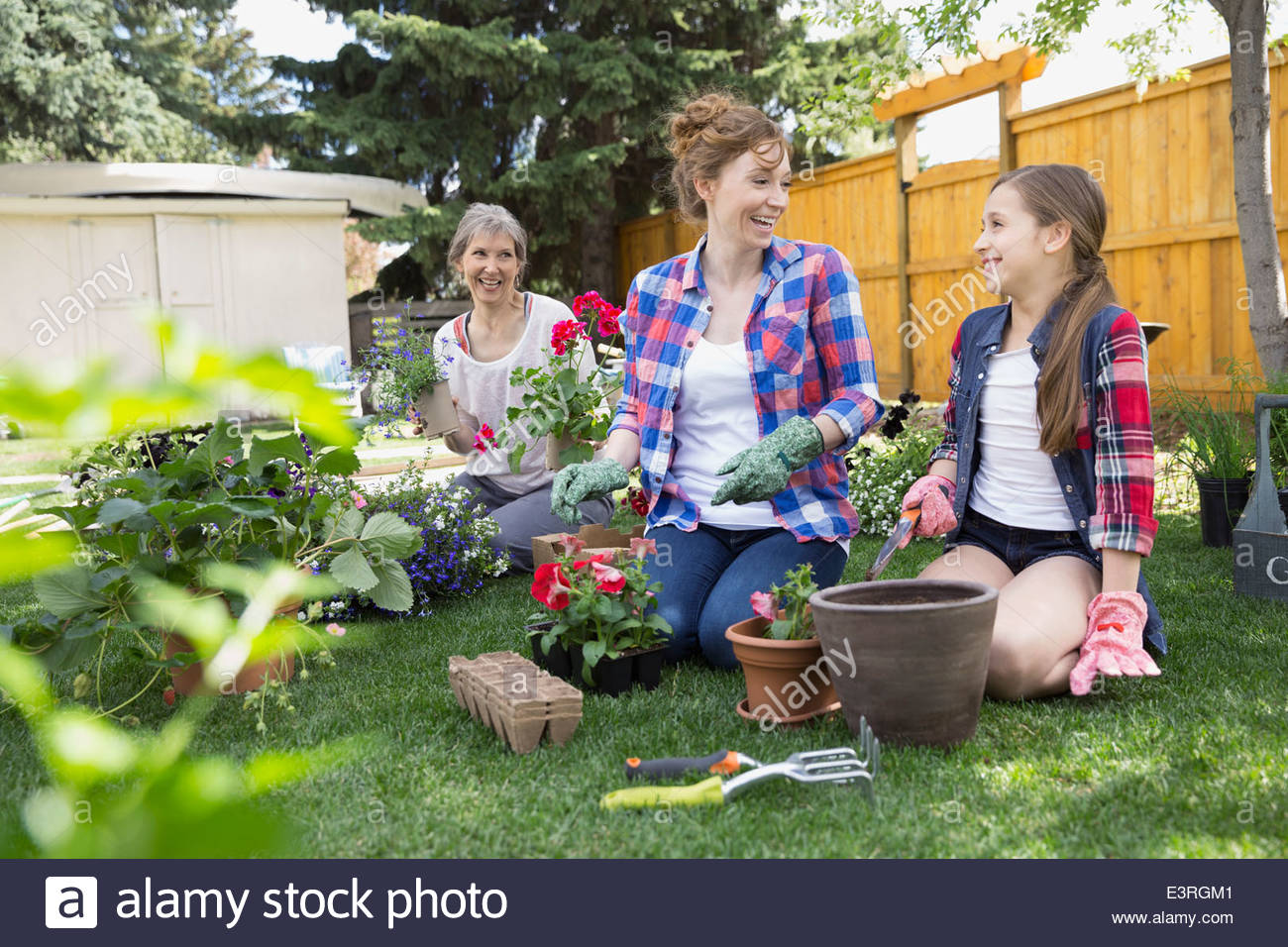 Multi-generation family planting flowers in garden Stock Photo - Alamy