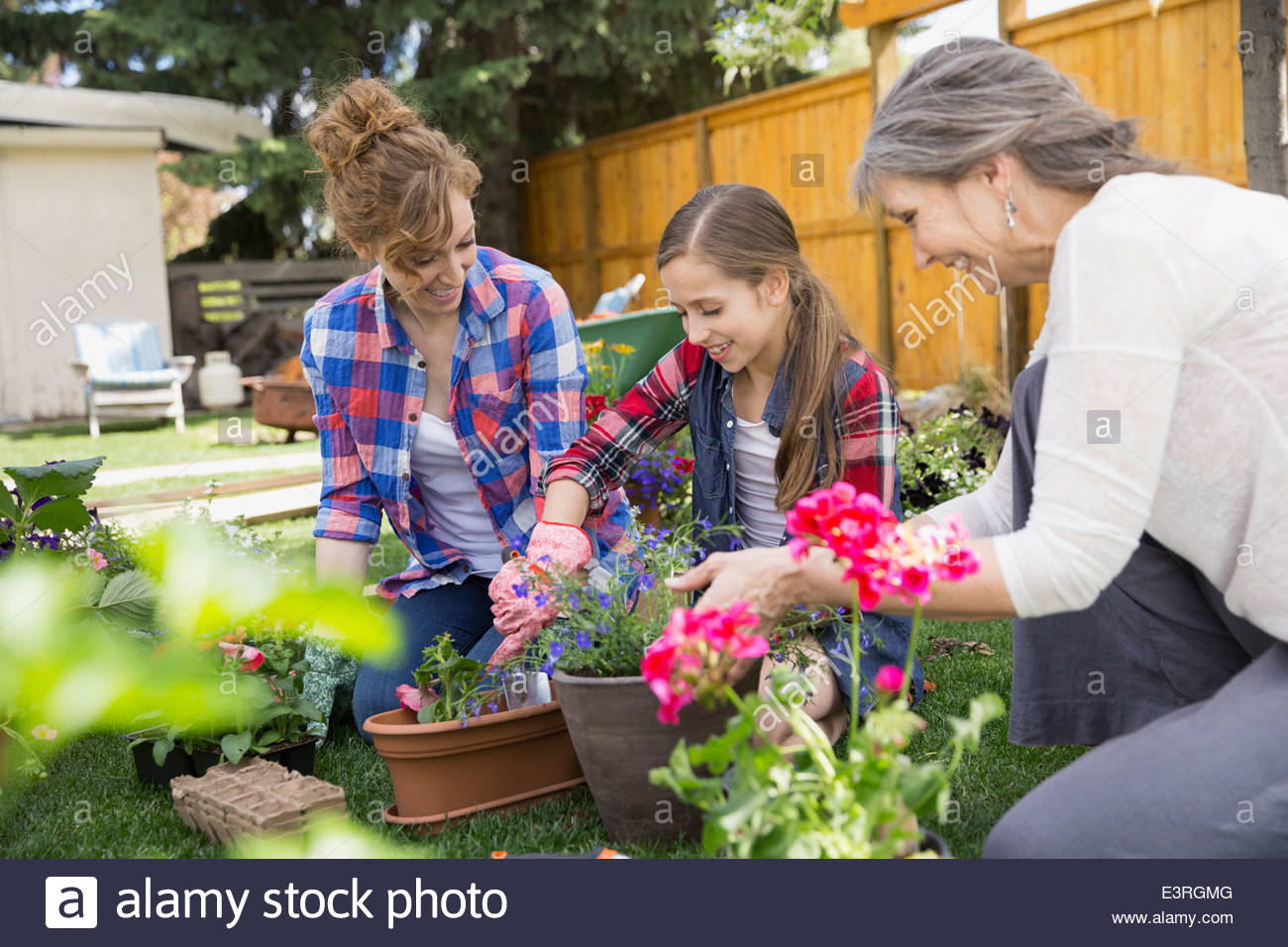 Three generation family gardening together hi-res stock photography and ...