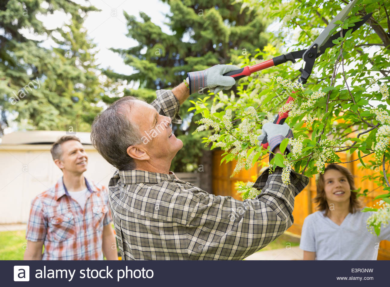 Father son cutting tree branch hi-res stock photography and images - Alamy