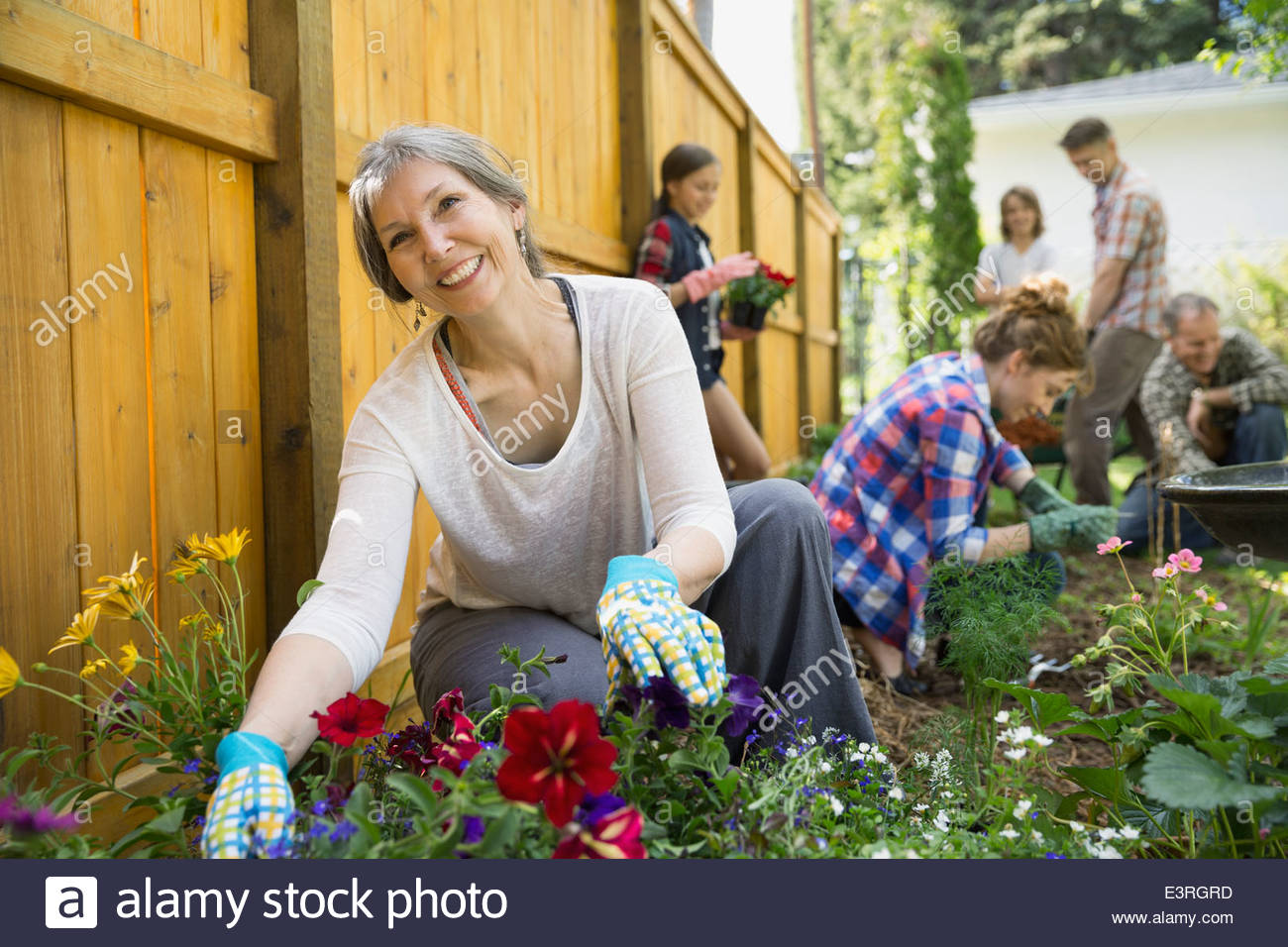 Multi-generation family planting flowers in garden Stock Photo - Alamy