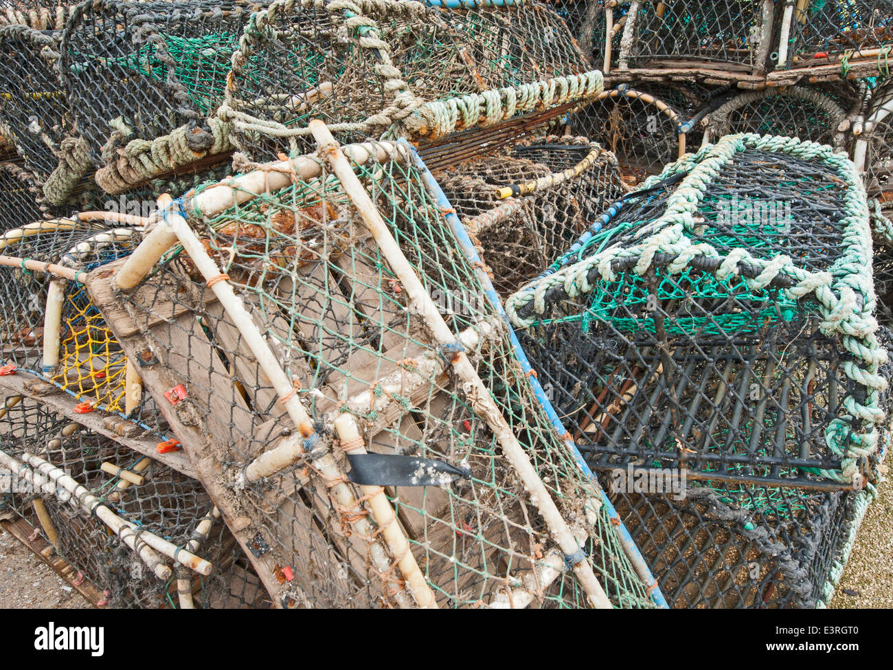 Commercial lobster fishing hi-res stock photography and images - Alamy