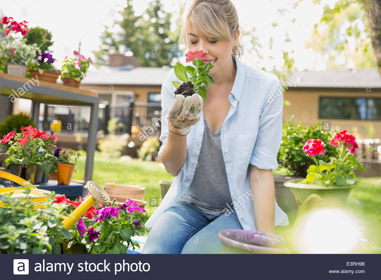 Lady Smelling High Resolution Stock Photography and Images - Alamy