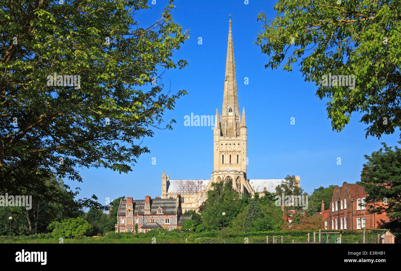A view of the Cathedral in the City of Norwich, Norfolk, England ...