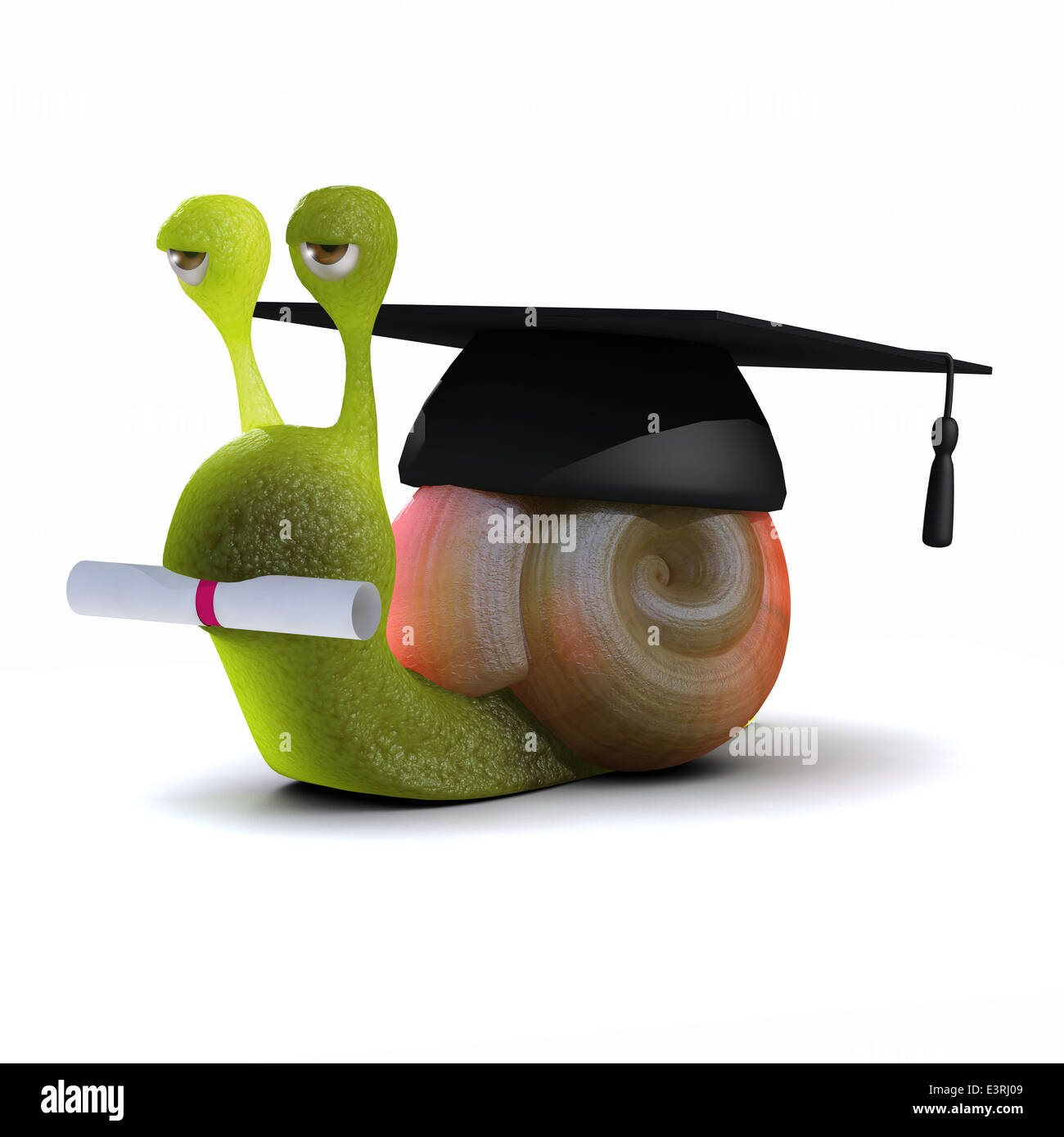 3d Snail has graduated with a diploma Stock Photo - Alamy