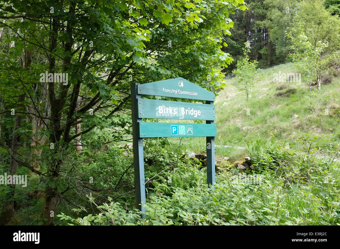 Forestry Commission sign for Birks Bridge in the English Lake ...