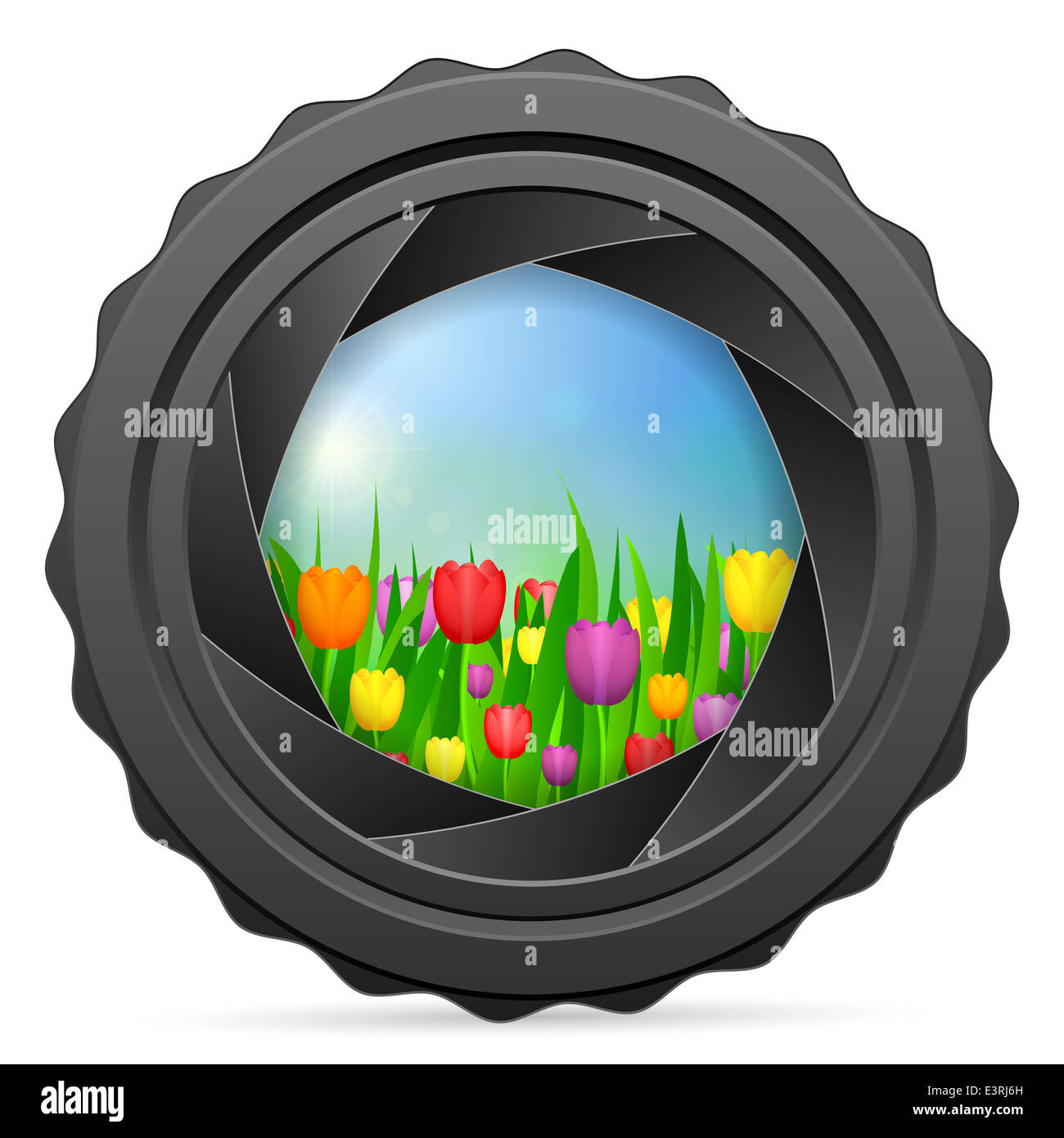 Camera shutter with tulips landscape on white background. Vector ...