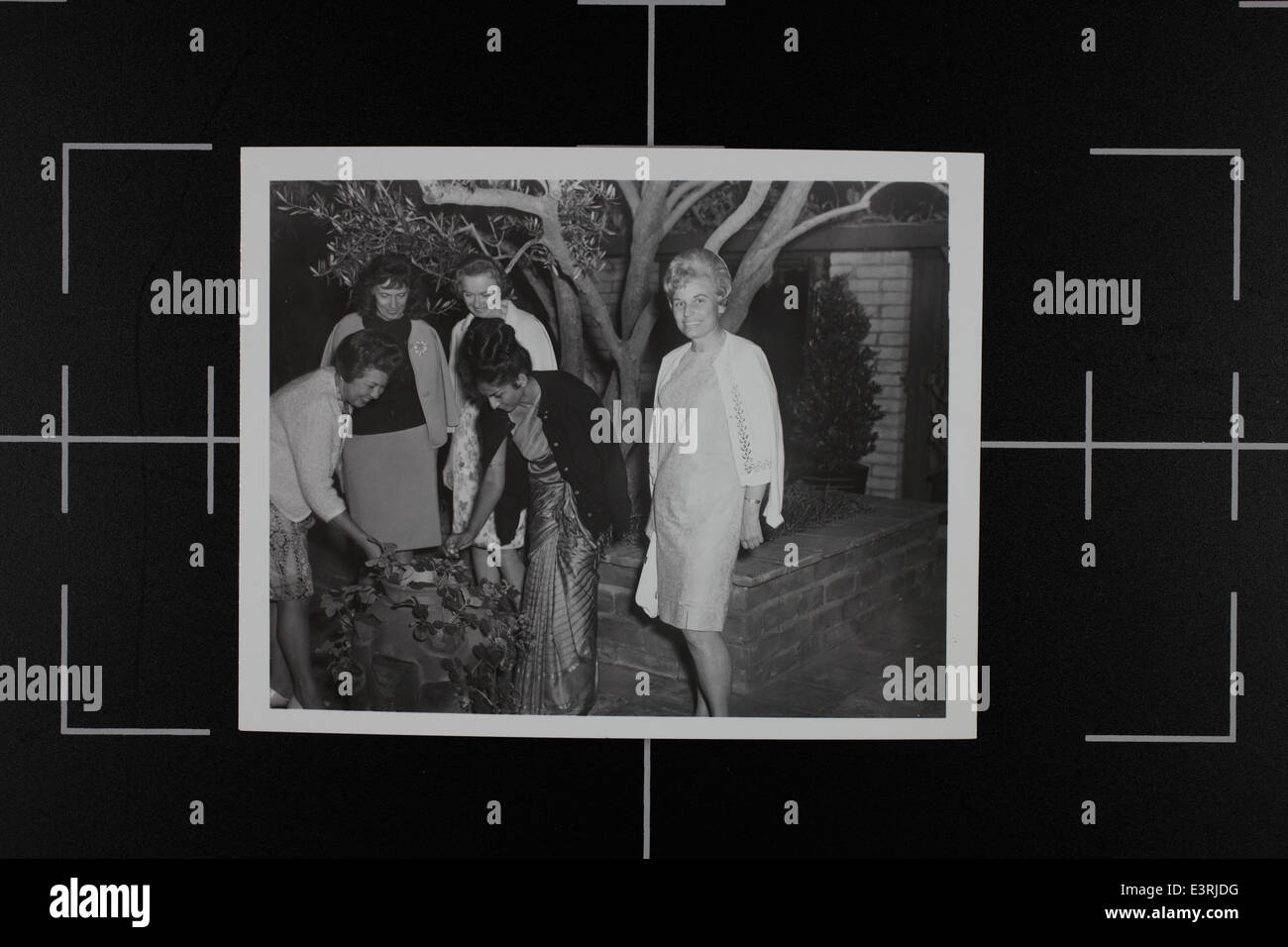 Reunion party hi-res stock photography and images - Alamy