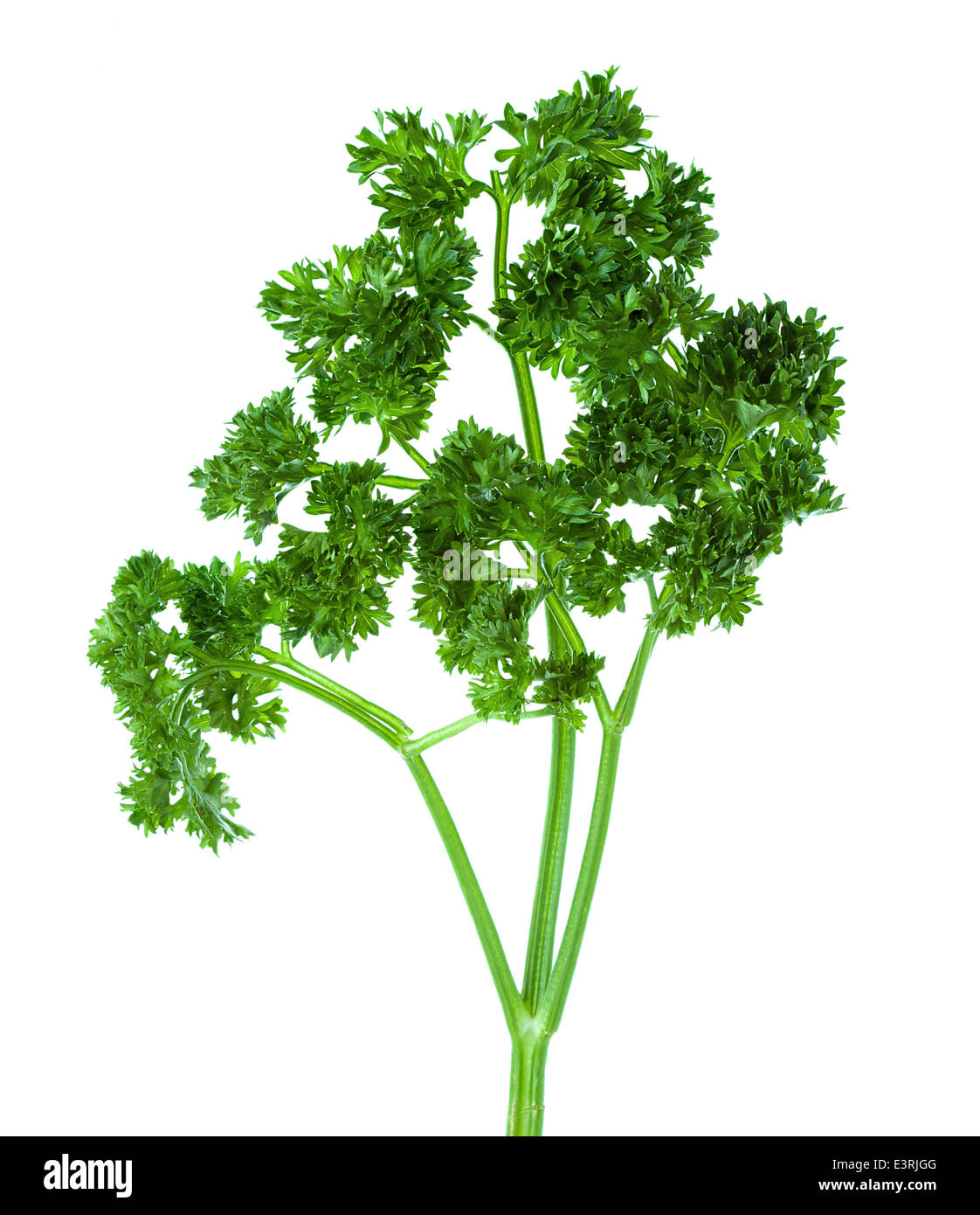 Parsley bundle healthy cooking hi-res stock photography and images - Alamy